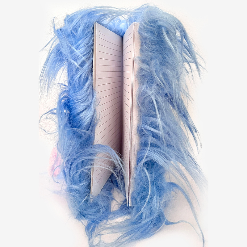 Emo Monster Notebook - li-oh.se